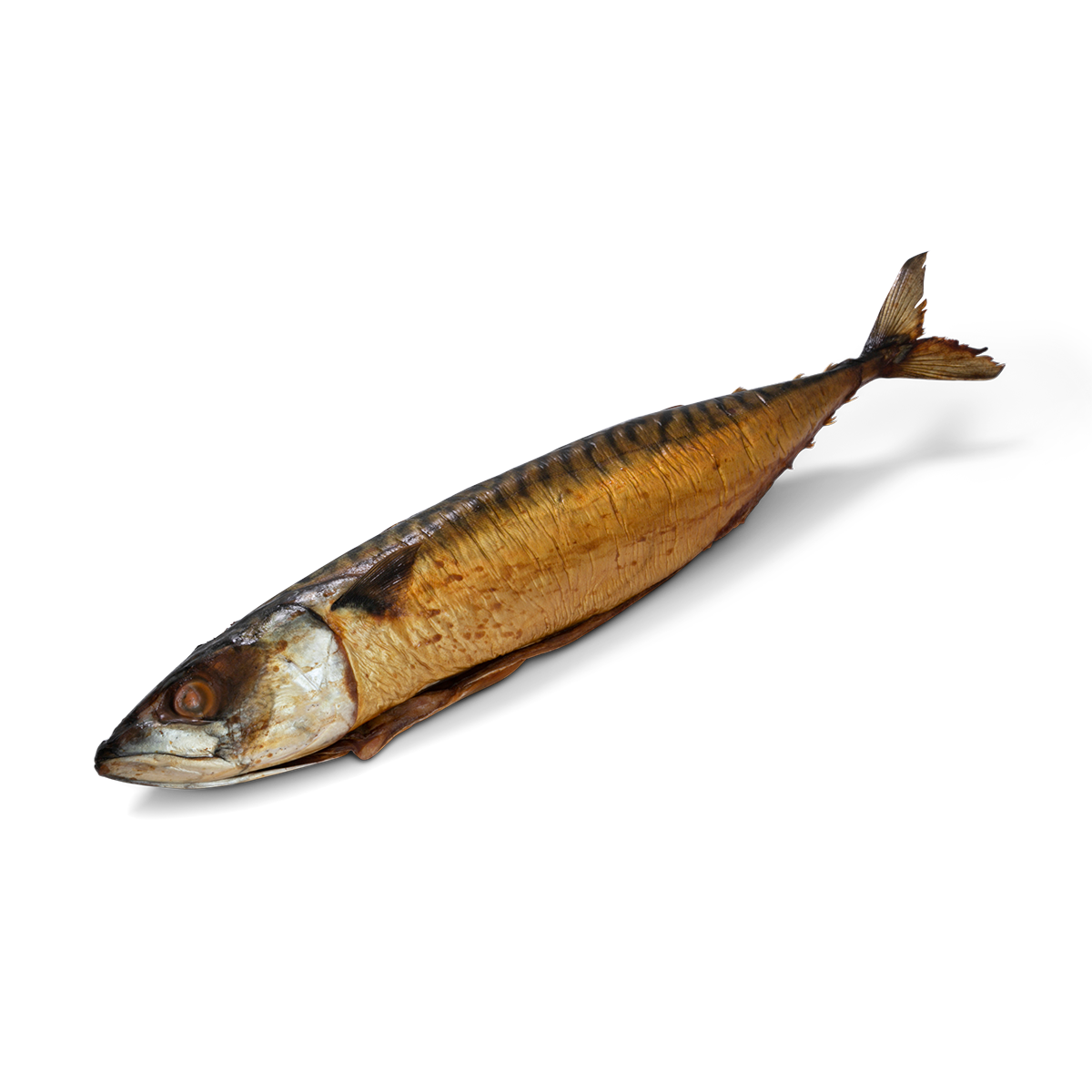 Makrill hel rökt 1,5 kg/pkt | JHB