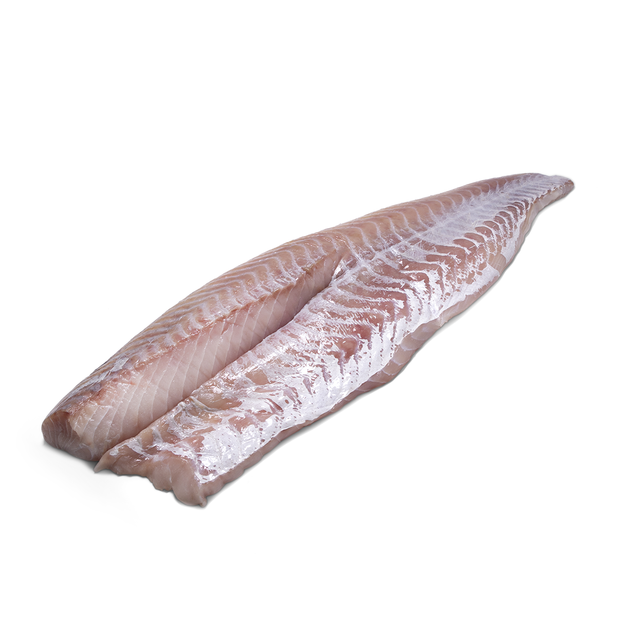 Sejfilé stor benfri handskuren MSC | JHB