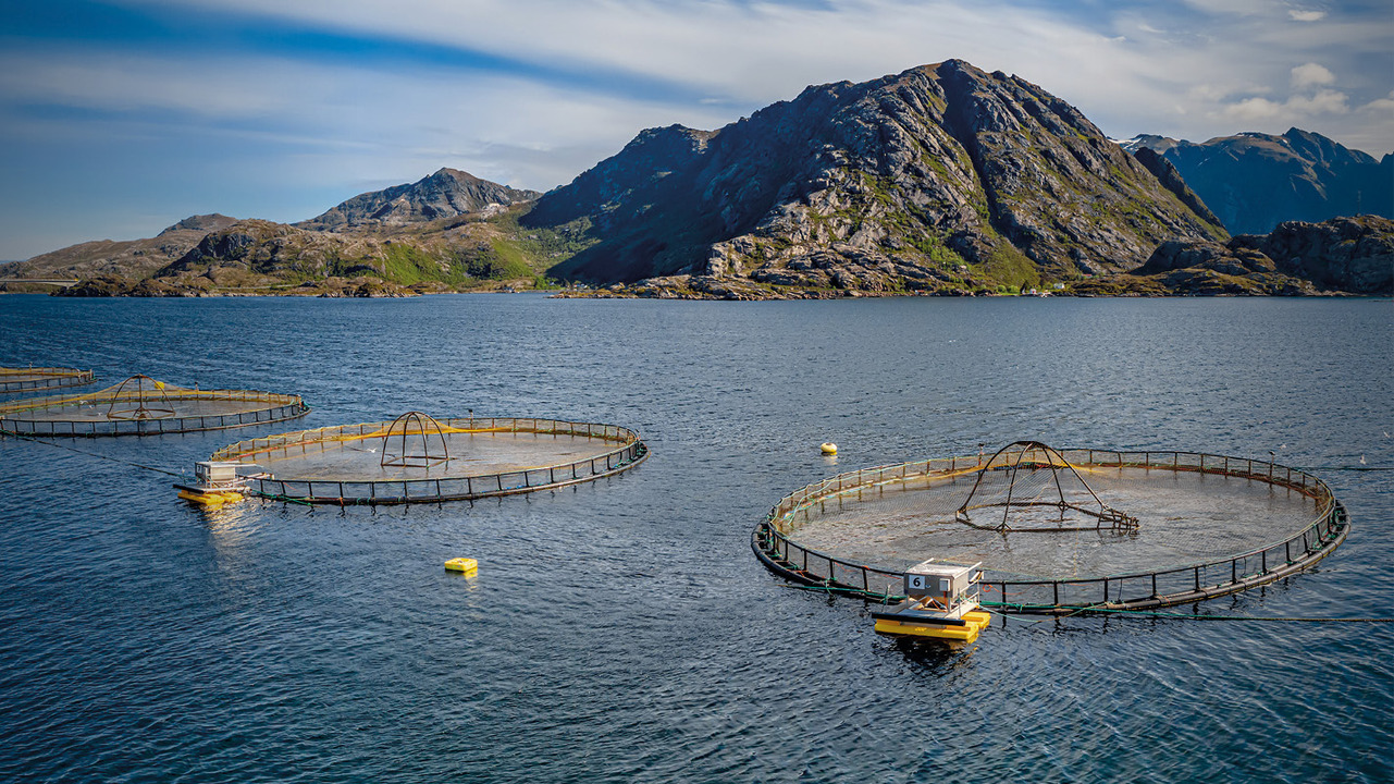 Fisk och Skaldjur | Johbeco